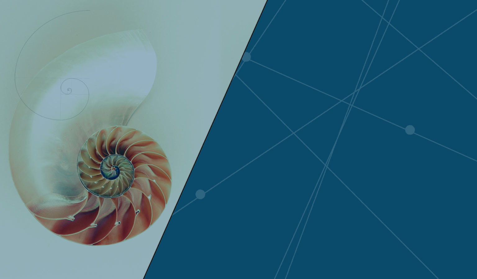The key elements of a well-designed logo - Digital Marketing Experts